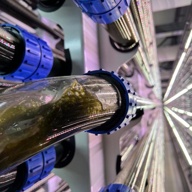 Home | Circular Bio-based Europe Joint Undertaking (CBE JU)